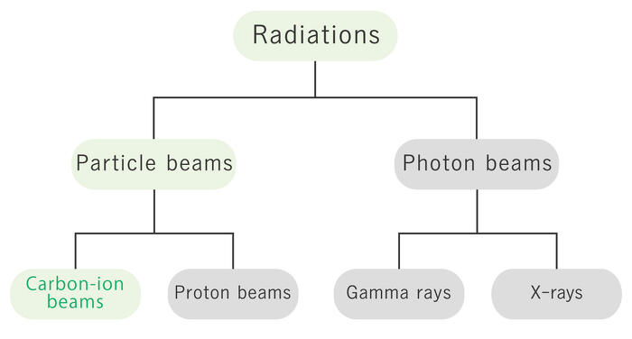 What is Carbon-ion Radiotherapy? | For Those Considering Carbon-ion ...